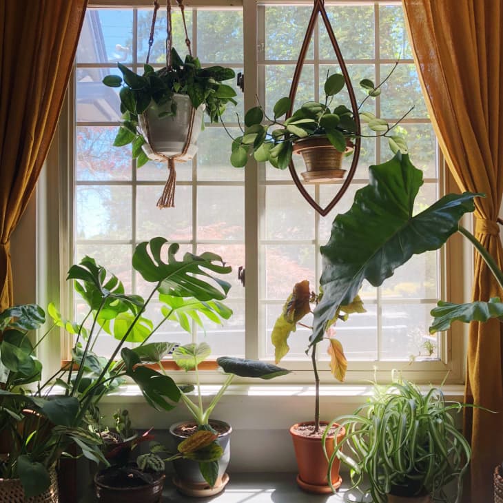 An Art-forward Funky Vintage Portland Bungalow | Apartment Therapy