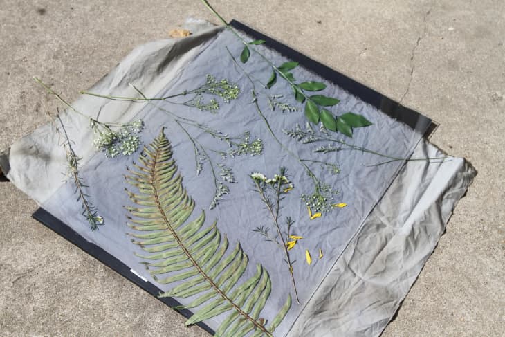 How To Make Cyanotype Textiles and Fabrics | Apartment Therapy