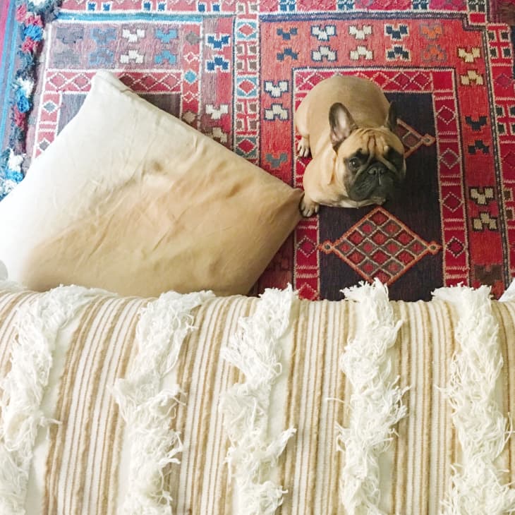 A "New England-Bohemian" Boston Condo | Apartment Therapy