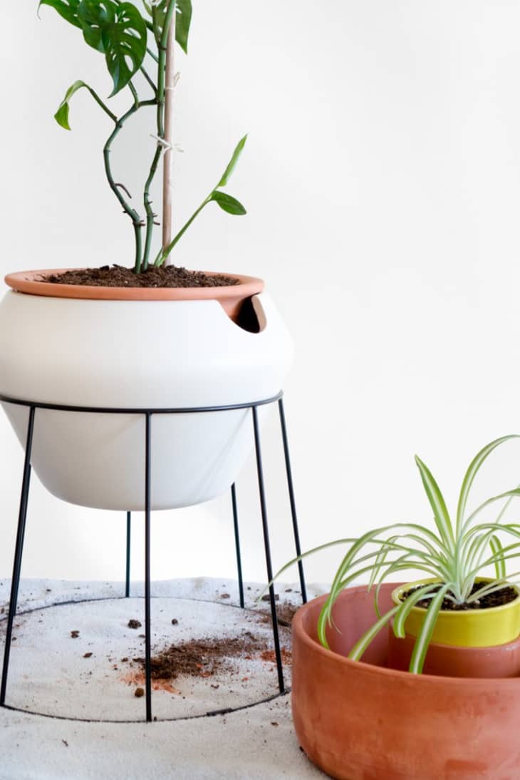 How To Add Drainage Holes to Plant Pots: DIY Tutorial | Apartment Therapy