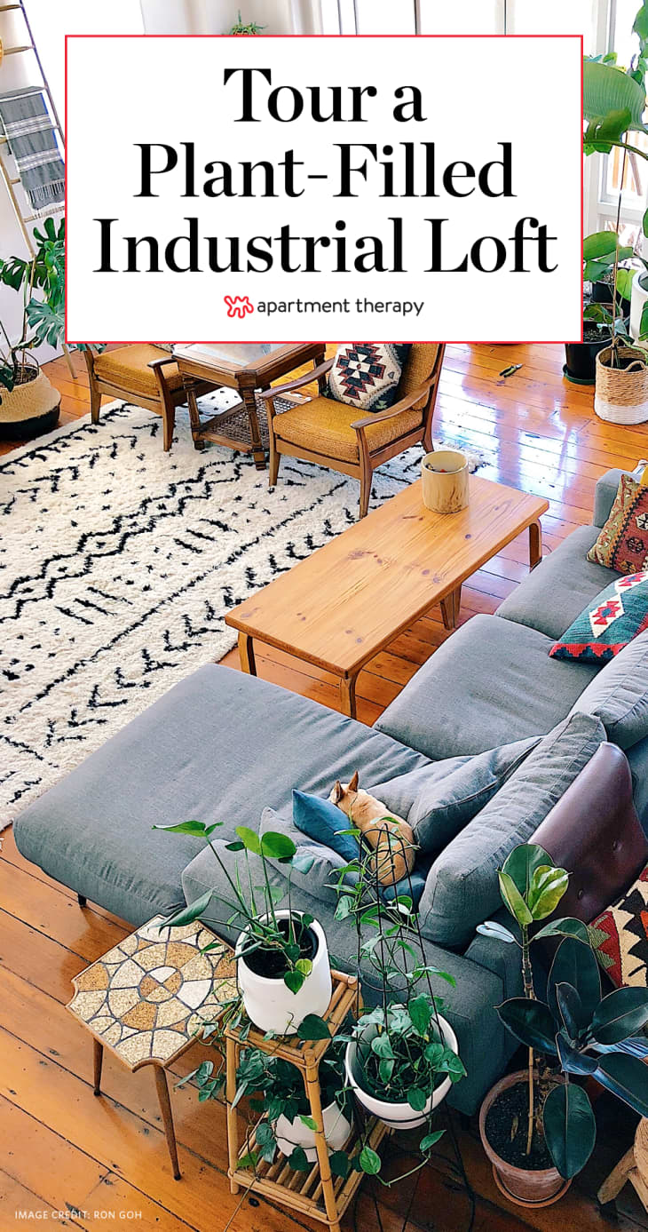 A Plant-Filled Industrial New Zealand Loft | Apartment Therapy