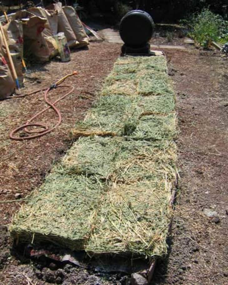 How To: Start a No-Dig Garden … Step by Step | Apartment Therapy