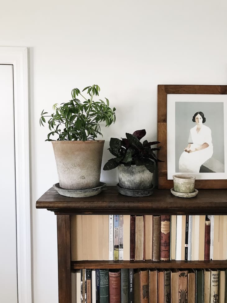 Displaying Books Backwards Trend | Apartment Therapy