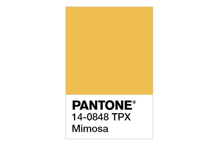 Pantone Color of the Year History: Selections from 1999 to 2025 ...