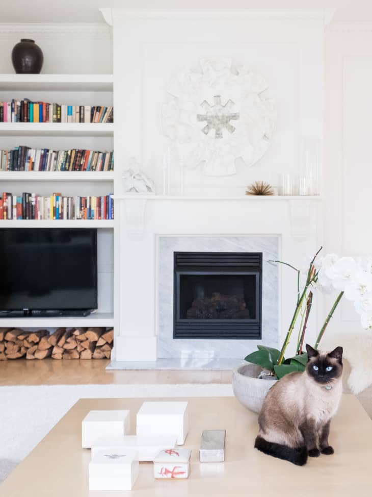 Fake-Outs & Fresh Takes: Style Details to Steal from Interior Designers ...