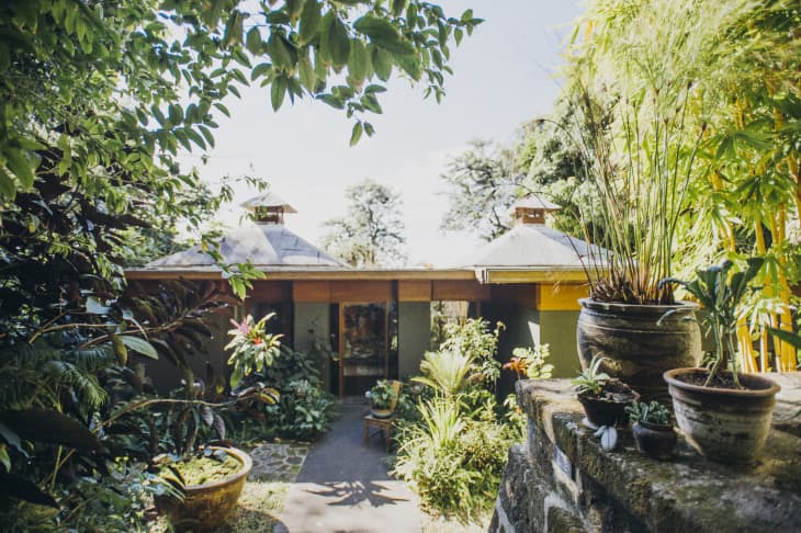 Rustic Bohemian Hawaii Home Surrounded by Jungle | Apartment Therapy