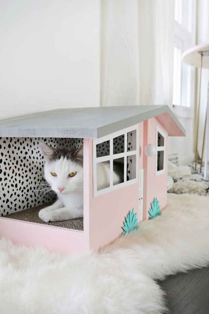 Pretty DIY Projects for Cat Owners | Apartment Therapy