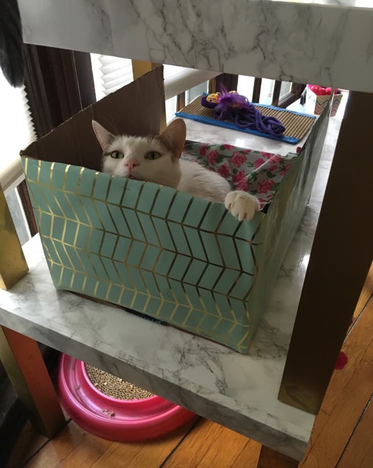 IKEA DIY Hack Side Tables Cat Tree | Apartment Therapy