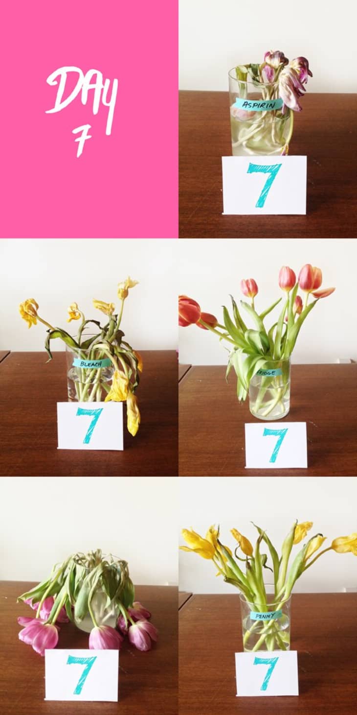 Test Lab: The Best Way to Keep Flowers Fresh | Apartment Therapy