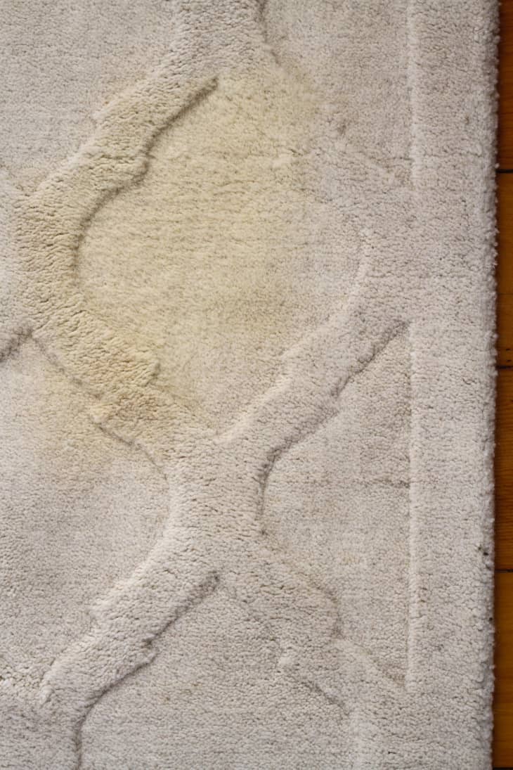 How To Whiten Yellowed or Bleached Wool | Apartment Therapy