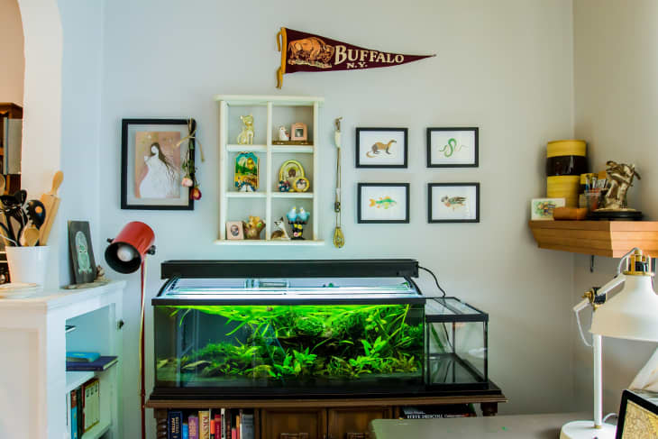 How To Thrive (Not Just Survive) in a Small Apartment | Apartment Therapy