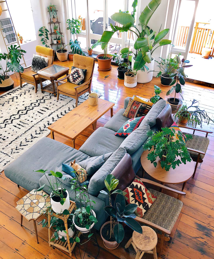 A Plant-Filled Industrial New Zealand Loft | Apartment Therapy