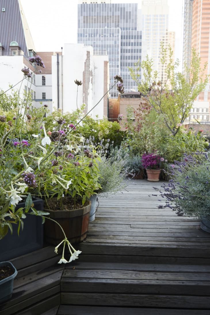 Urban Retreats: 9 Dreamy Rooftop Gardens | Apartment Therapy