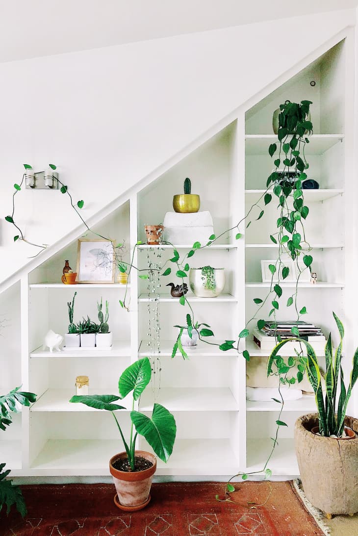 A Plant-Filled Industrial New Zealand Loft | Apartment Therapy