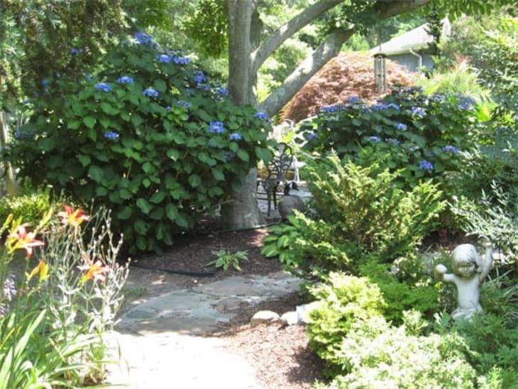 5 Ways to Bring More Texture to Your Garden—And Why It’s Good to Do So ...