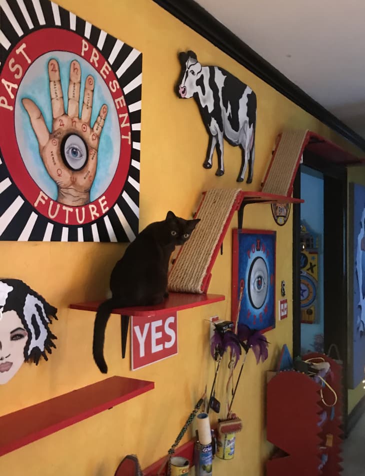 The Most, Colorful, Cat-Friendly Home of All Time | Apartment Therapy