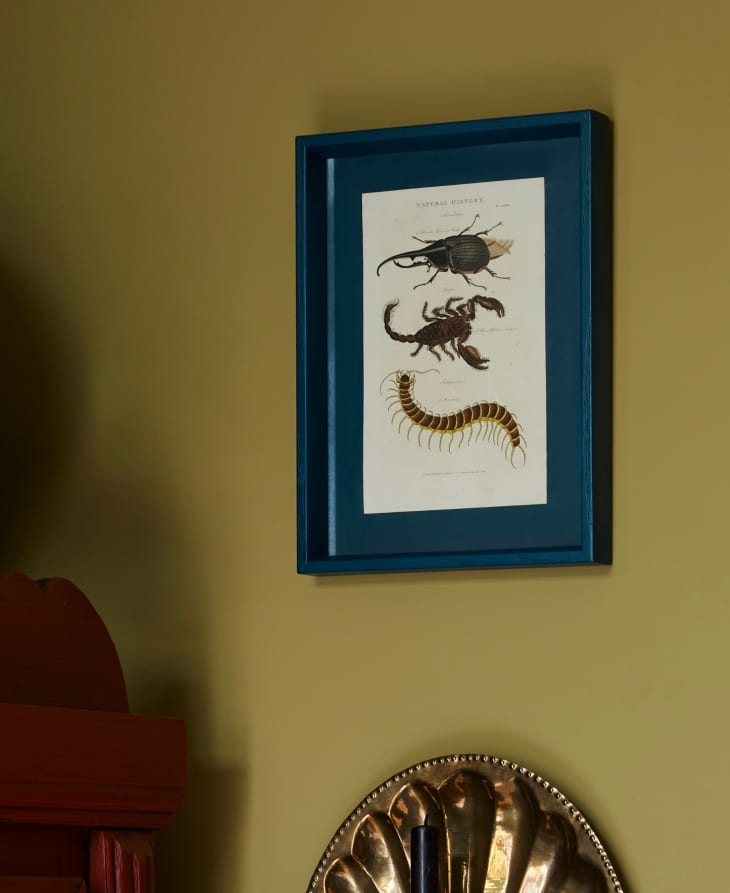 Design Changemakers 2021: Benedict Foley Has an Eye for Art and Design ...