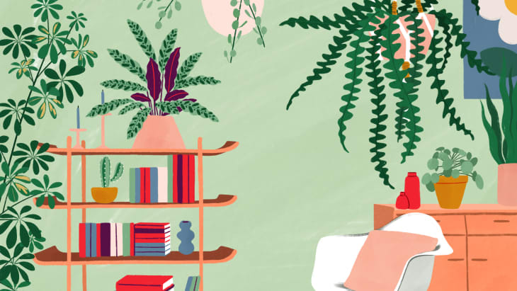 3 Plant-Filled Zoom Backgrounds for Spring | Apartment Therapy