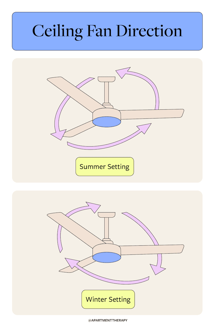 How to Reverse Ceiling Fan Direction in Summer and Winter | Apartment ...