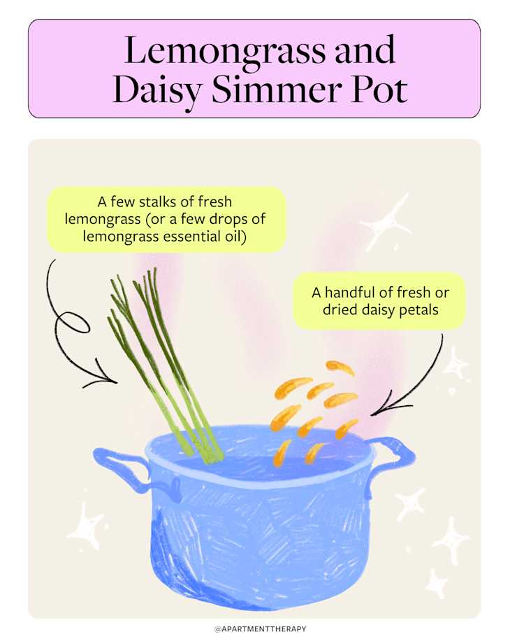 6 Summer Simmer Pot Recipes That Make Your Home Smell Good | Apartment ...