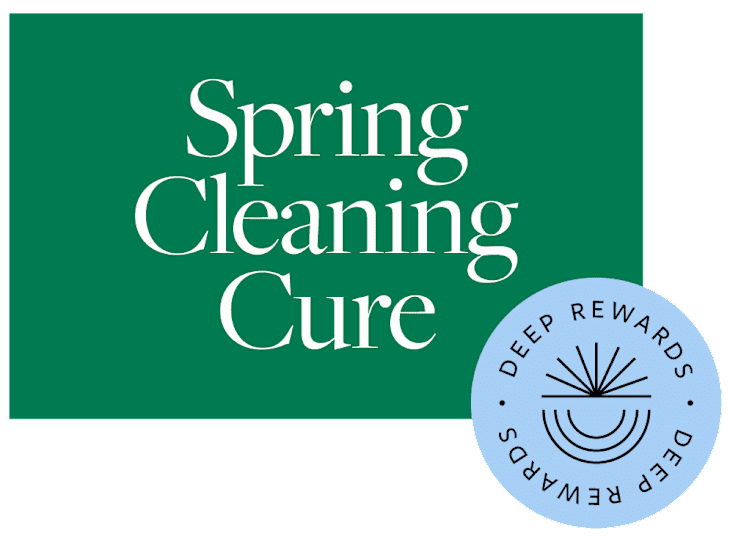 How to Deep Clean a Rug Without Ruining It | Apartment Therapy