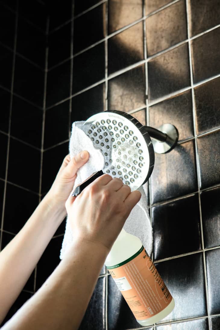 How To Clean A Showerhead Multiple Methods With Photos Apartment Therapy
