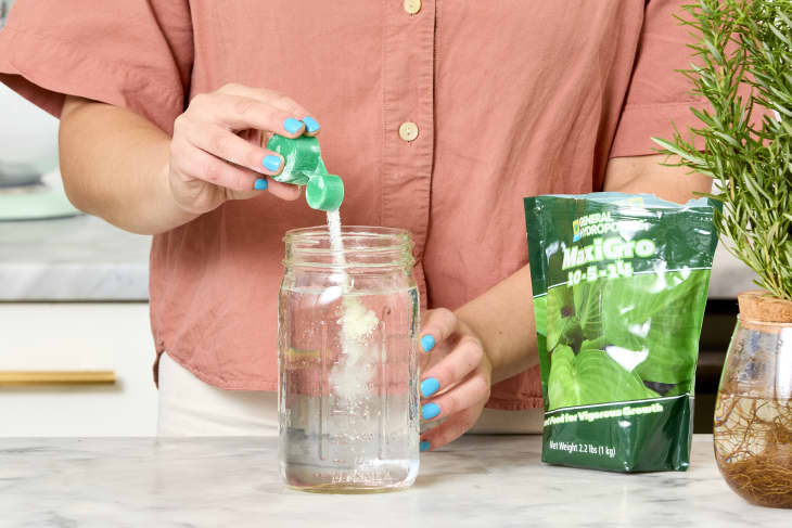 How to Grow Hydroponic Gardens for Houseplants and Veggies | Apartment ...