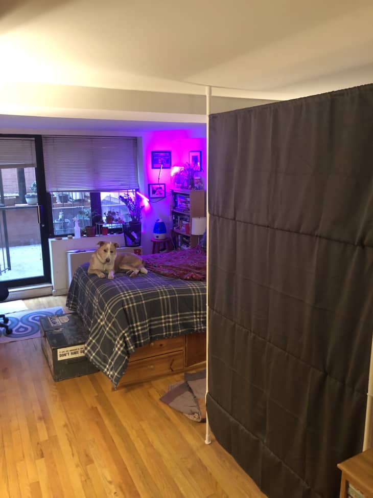 I Tried the Umbra Anywhere Blind Room Divider, and It's a Game Changer ...