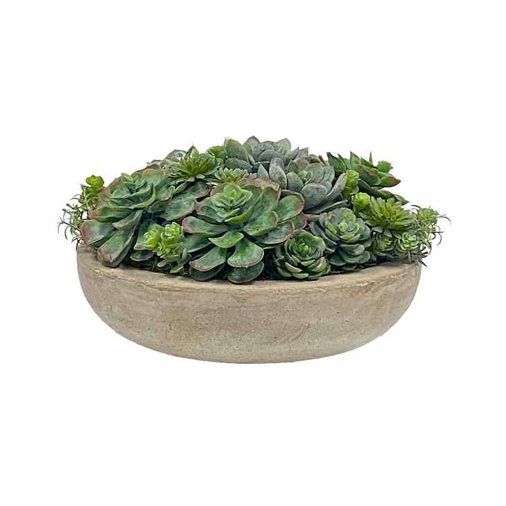 Costco Is Selling Giant Succulent and Cactus Gardens | Apartment Therapy