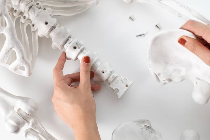 How to Make Skeleton Topiary | Apartment Therapy