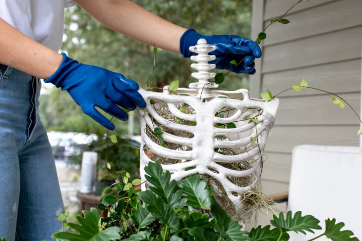 How to Make Skeleton Topiary | Apartment Therapy