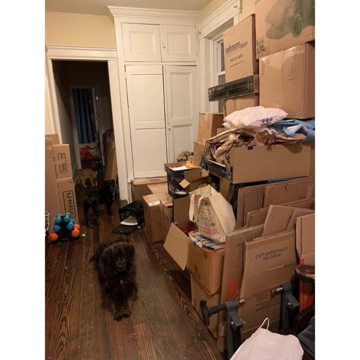 10 Ways to Use Cardboard Boxes | Apartment Therapy