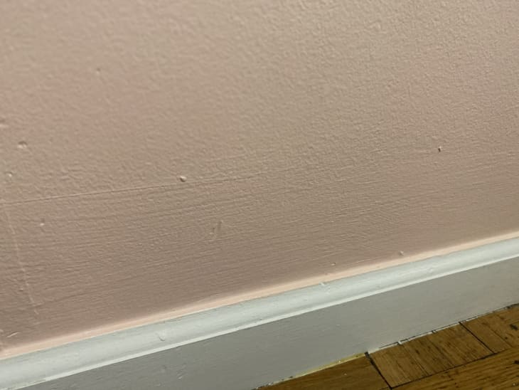 Paint Edger Test and Review | Apartment Therapy