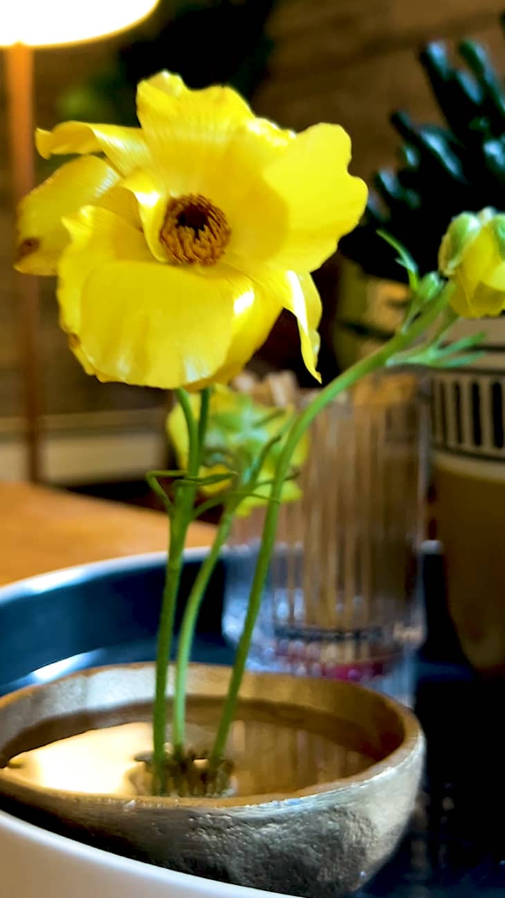 How to Use a Flower Frog | Apartment Therapy