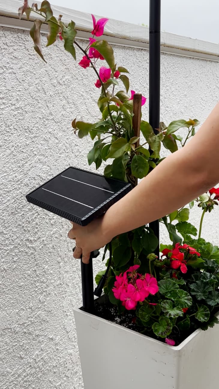 How to Make String Light Planters - Steps and Photos | Apartment Therapy