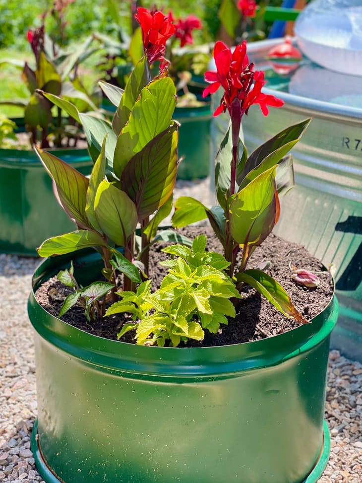 12 DIY Planter Ideas to Level Up Your Garden, Patio, or Yard ...