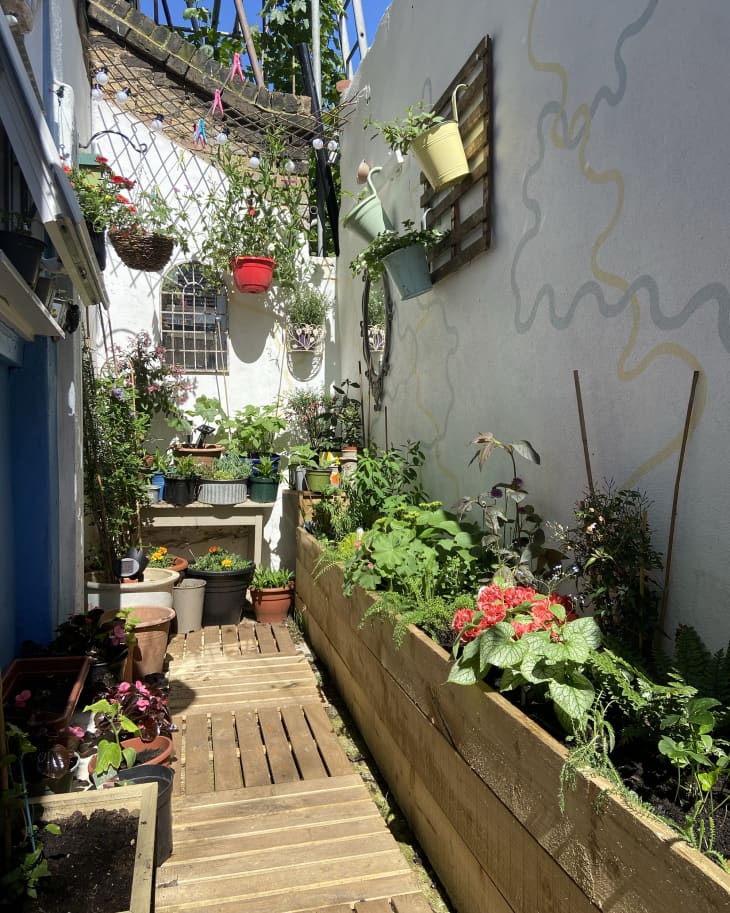 A “Bleak” Yard Space Becomes a Beautiful Outdoor Oasis for $578 ...