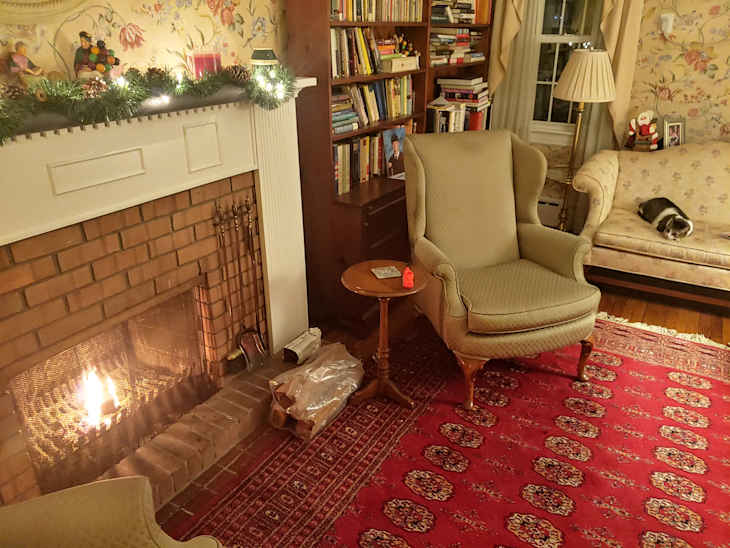 How I Make My Own Scented Fireplace Logs | Apartment Therapy