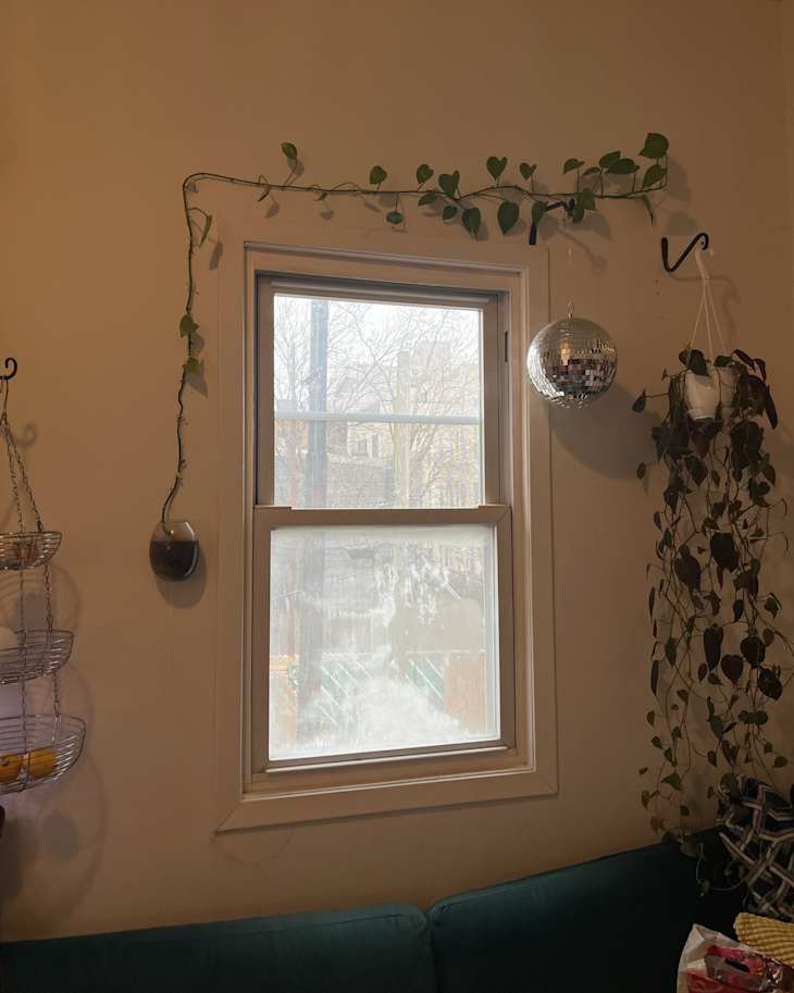 The $12 Paint Project I Did in Every Room of My Apartment | Apartment ...