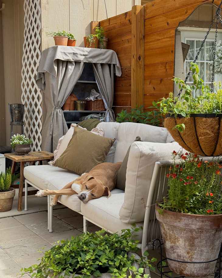 A Tiny Backyard Got a Cozy European-Style Patio Redo | Apartment Therapy