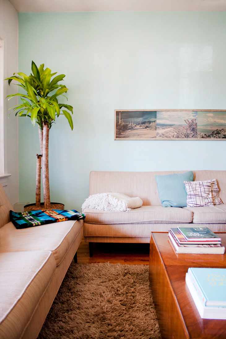 Best Indoor Trees - Large Floor Plants for a Bold Statement | Apartment ...