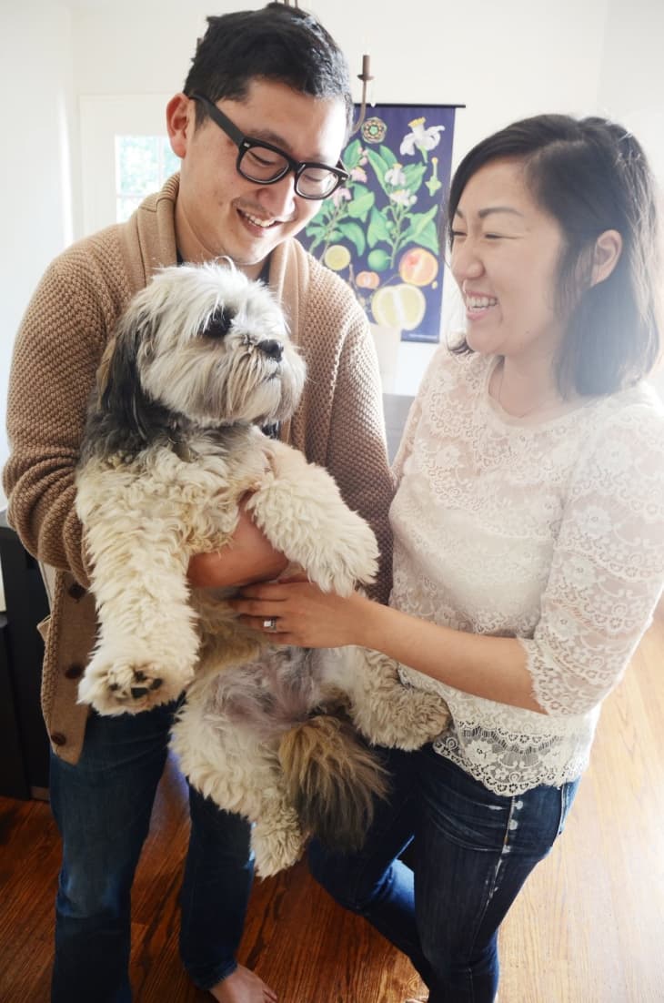 Furry Friends: Advice & Ideas for Enjoying Life at Home with Your Pets ...