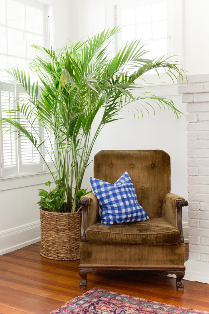 Meditation Habit Challenge — How I Meditated Every Morning for a Month ...