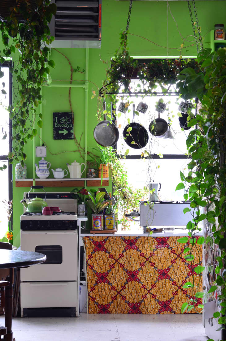 5 Tips for Adding Plants to Your Kitchen Design | The Kitchn
