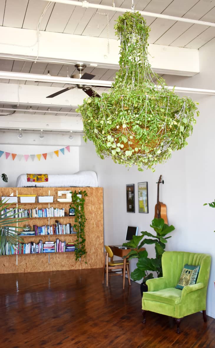 How to Display Houseplants: 100 of Our Favorite Plant-Display Ideas ...