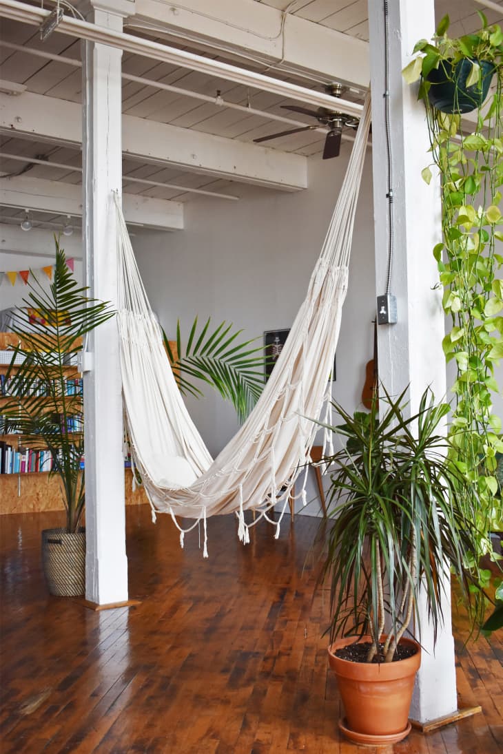 Plant Filled Rental Loft in Philadelphia Tour Photos | Apartment Therapy