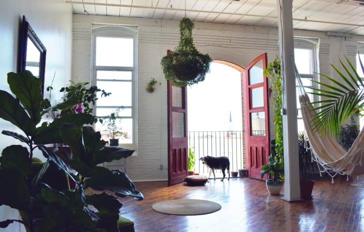 Plant Filled Rental Loft in Philadelphia Tour Photos | Apartment Therapy