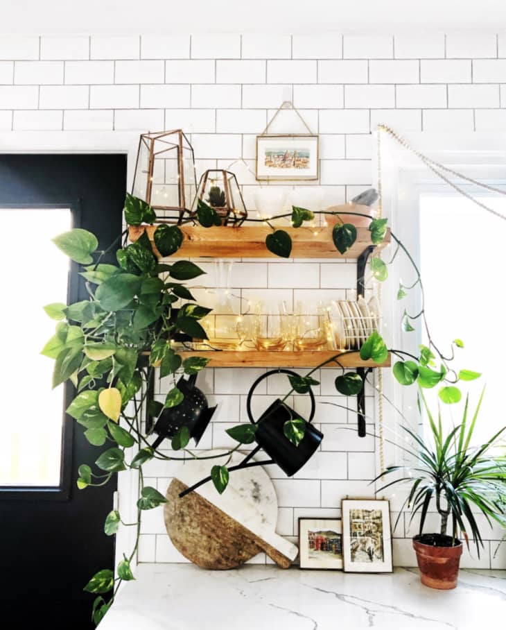 theKwendyHome Bohemian Plant-Filled Home Photos | Apartment Therapy