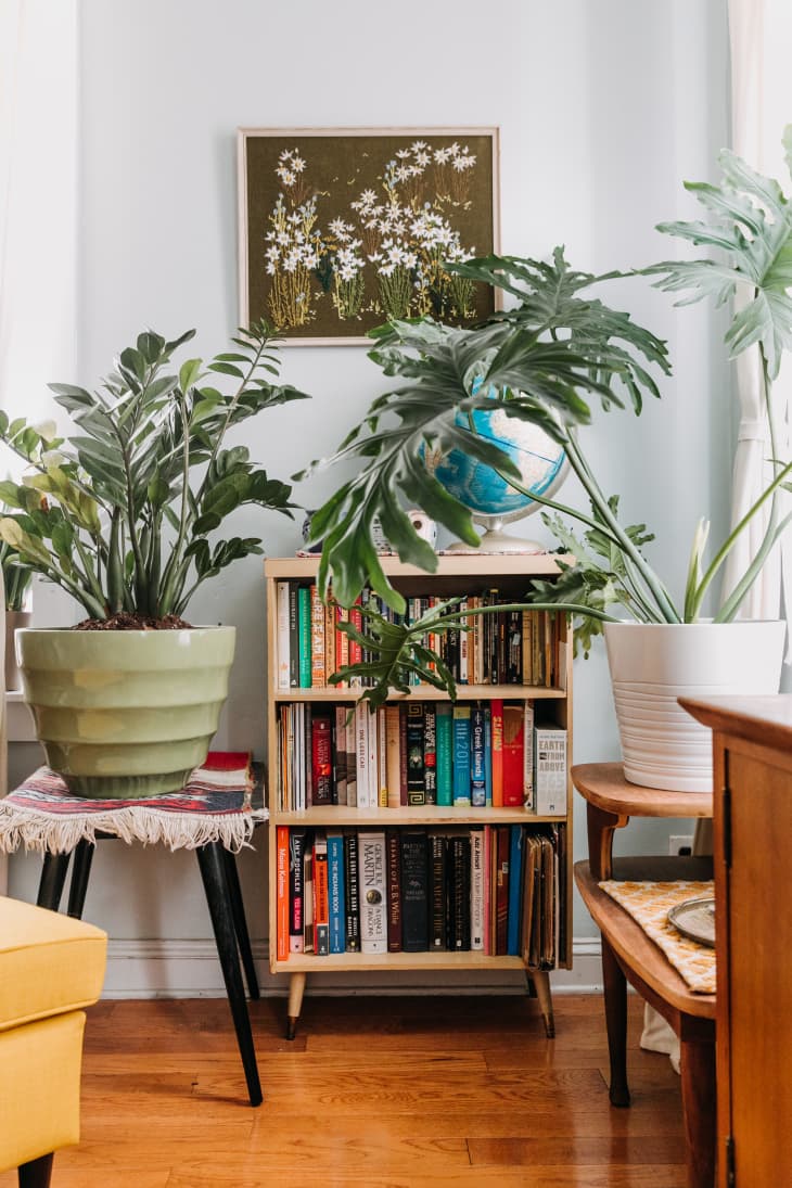 How to Dust Books Like a Pro, According to Marie Kondo | Apartment Therapy