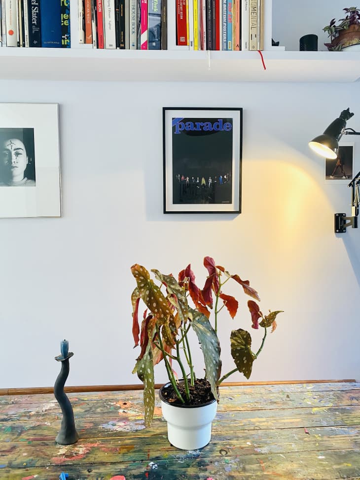 Primary Colors UK Renovated Home Photos | Apartment Therapy